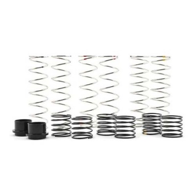 [팰콘샵] [PROLINE-RACING] 6299-00 Pro-Line X-Maxx Dual Rate Spring Assortment